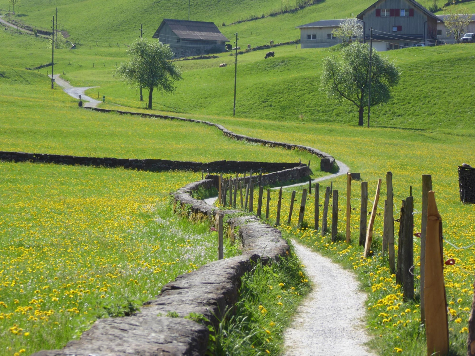 Schönelandschaft – Landschaft – Freiraum – Umwelt